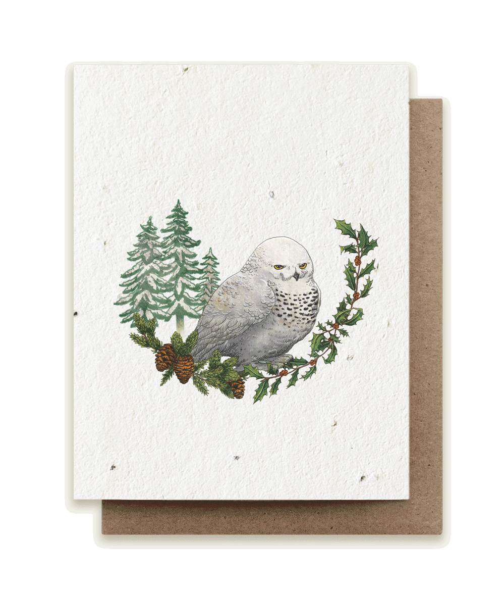 Winter Snowy Owl - Plantable Herb Seed Card - Small Victories