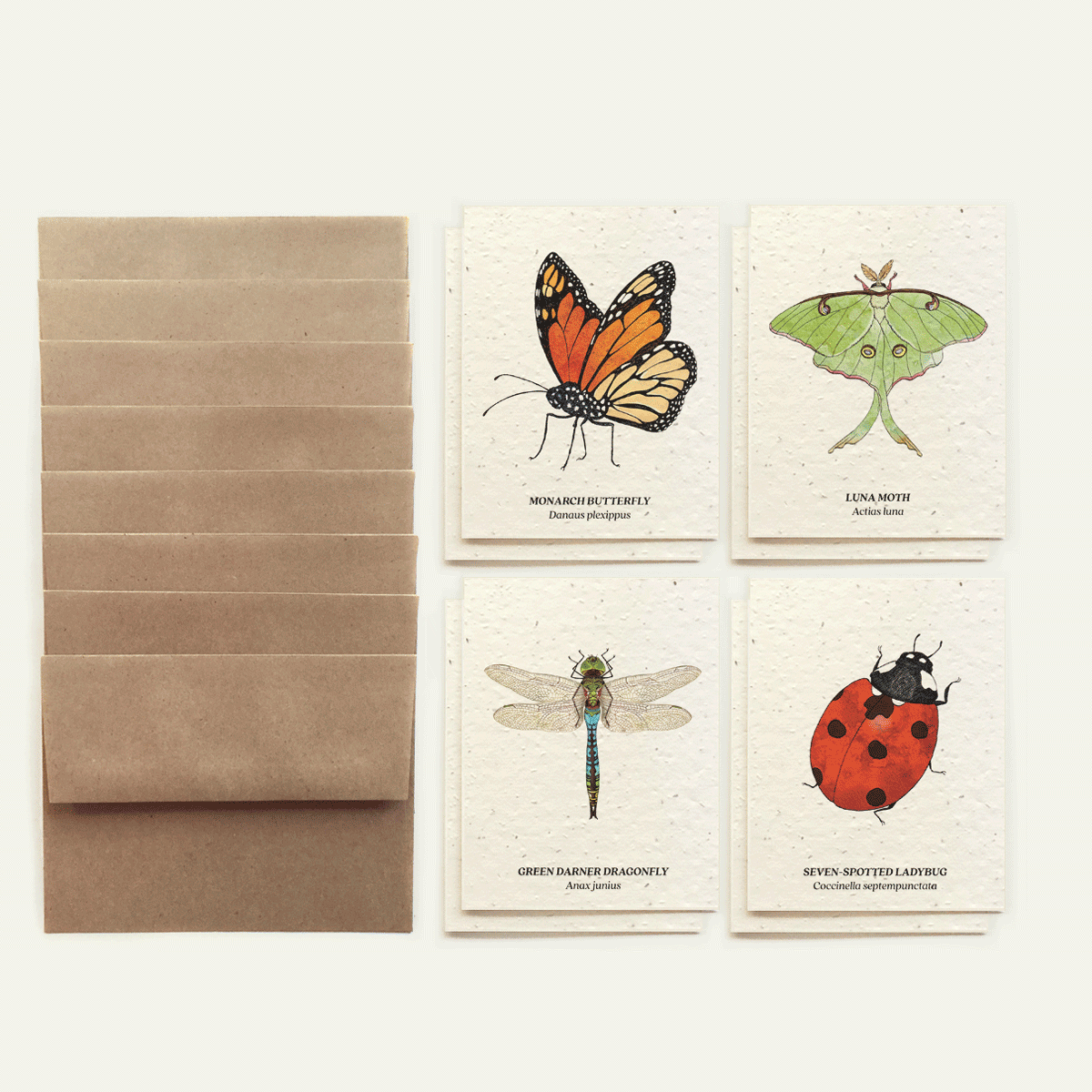 Insect Card Set - Small Victories