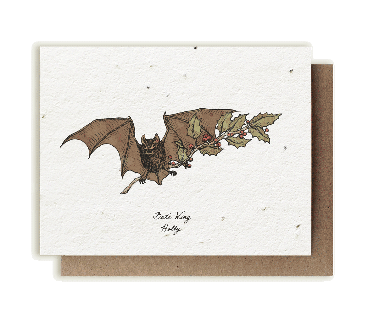 Bat's Wing & Holly - Plantable Herb Seed Card - Small Victories